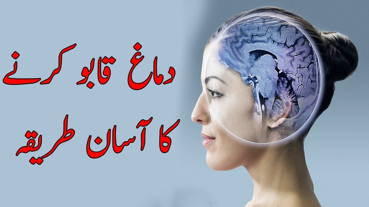 How To Control Your Mind Brain Urdu YouTube How To Control Your Mind Brain Urdu YouTube