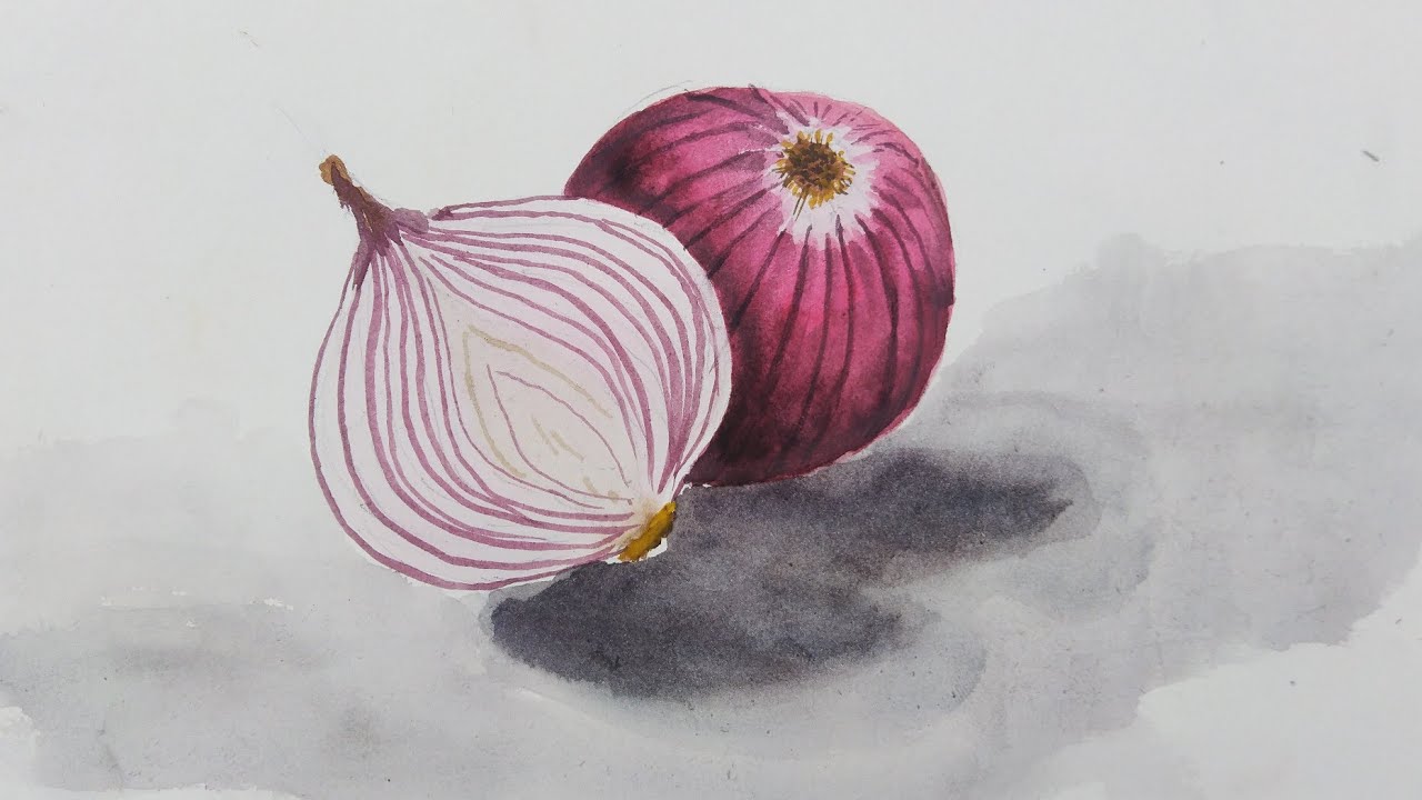 Onion | how to paint Onion | Watercolour - YouTube