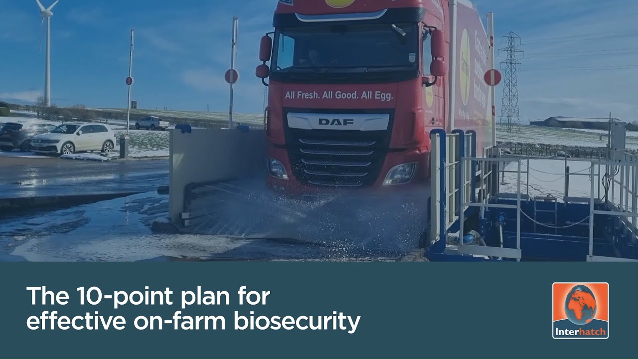 The 10-Point Plan for effective on-farm biosecurity - YouTube