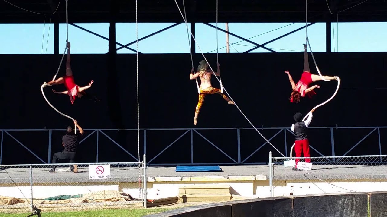 Spanish web Tennessee, Toby Tyler Circus 10/18/15 - YouTube
