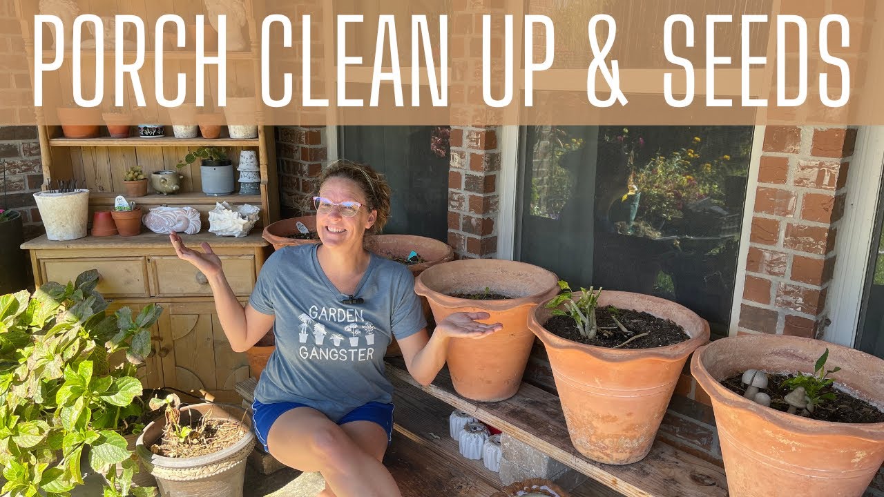 Porch Clean Up For Fall 🍁🍂 || Tithonia Seeds & Hyacinth Bean Seeds ...