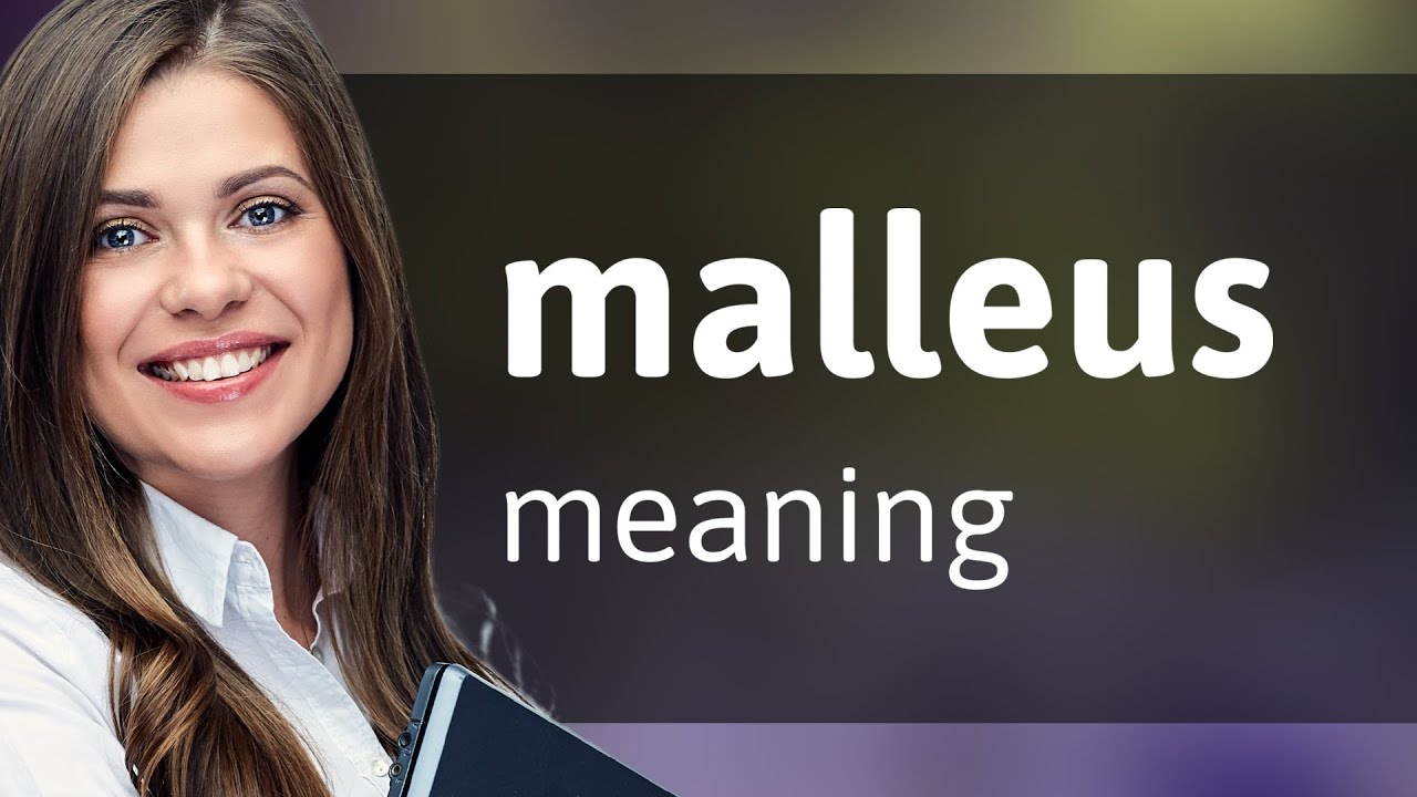 Malleus • meaning of MALLEUS - YouTube