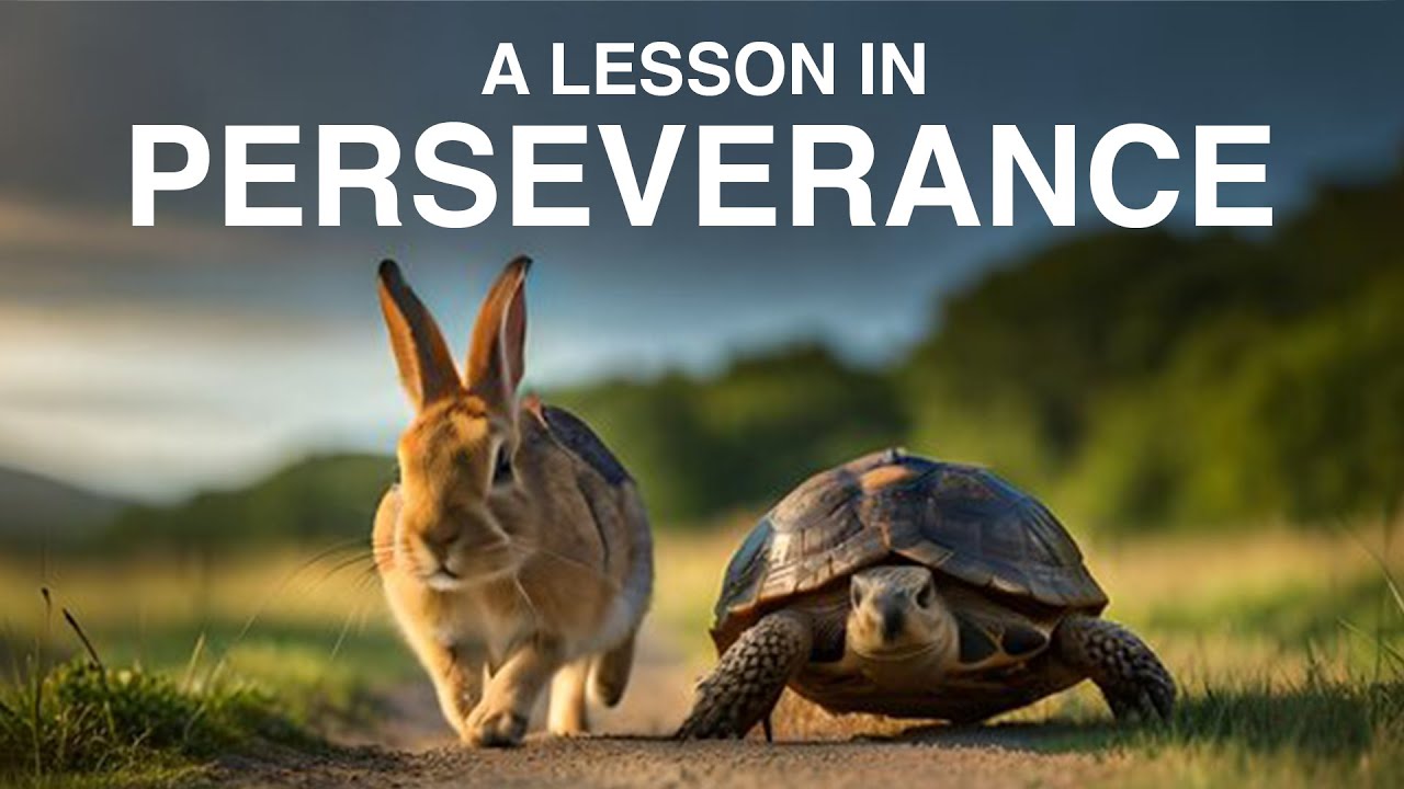 A Lesson In Perseverance #Inspirational #motivation - YouTube