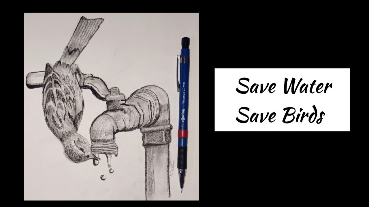 How to draw a Bird with charcoal pencil#save water #save birds #save ...