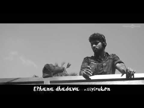 Karuppi En Karuppi Song | Whatsapp Status | Santhosh Narayanan ...