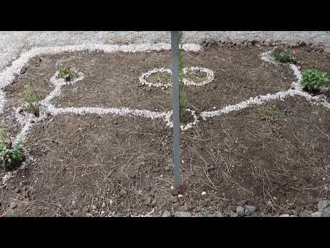 Samsun 19 Mayıs PMYO Kahramanları | Ali TONGA