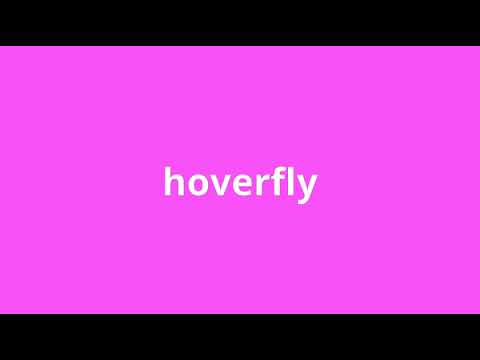 what is the meaning of hoverfly. - YouTube