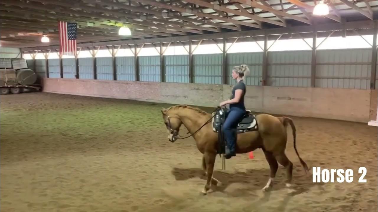 Western Horsemanship - Practice judging class - YouTube