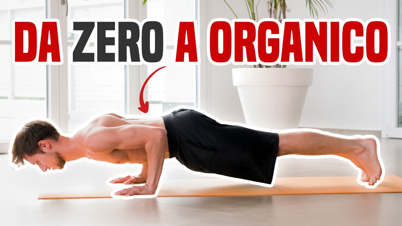 Piegamenti Sulle Braccia - La Guida DEFINITIVA Per Piegamenti Perfetti ...