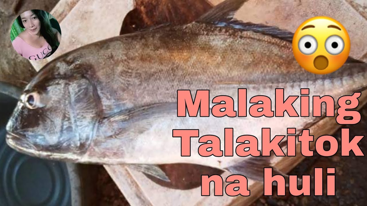 Malaking mamsa na huli(fishing) - YouTube