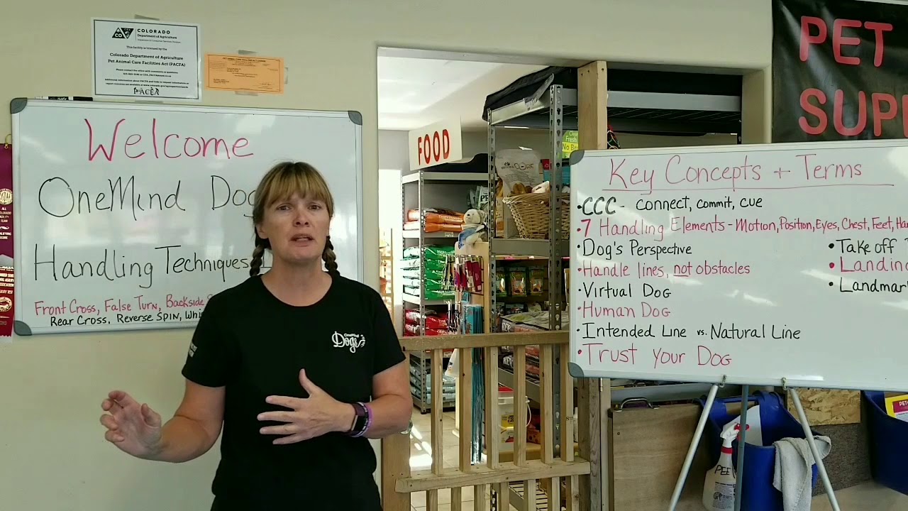 Laura Bussing Test #2 HT1 - YouTube