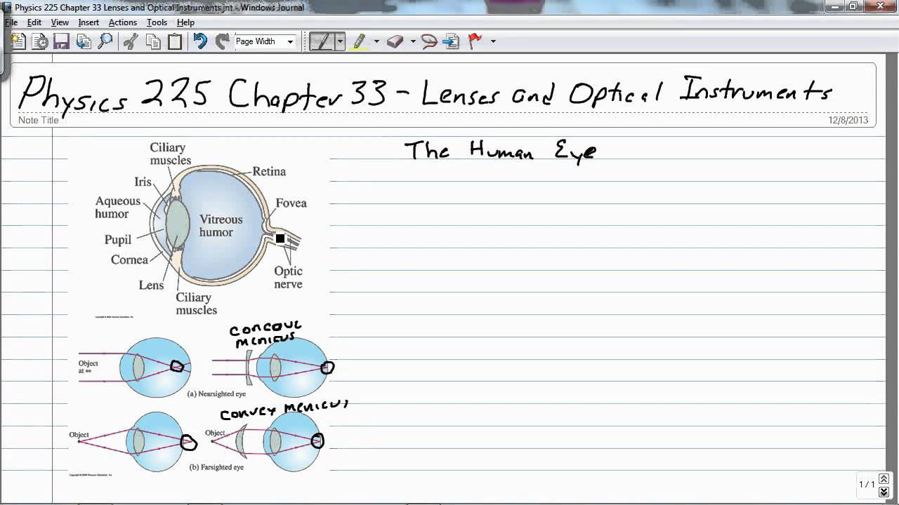 1811 Chapter 33 Lenses and Optical Instruments The Human Eye - YouTube