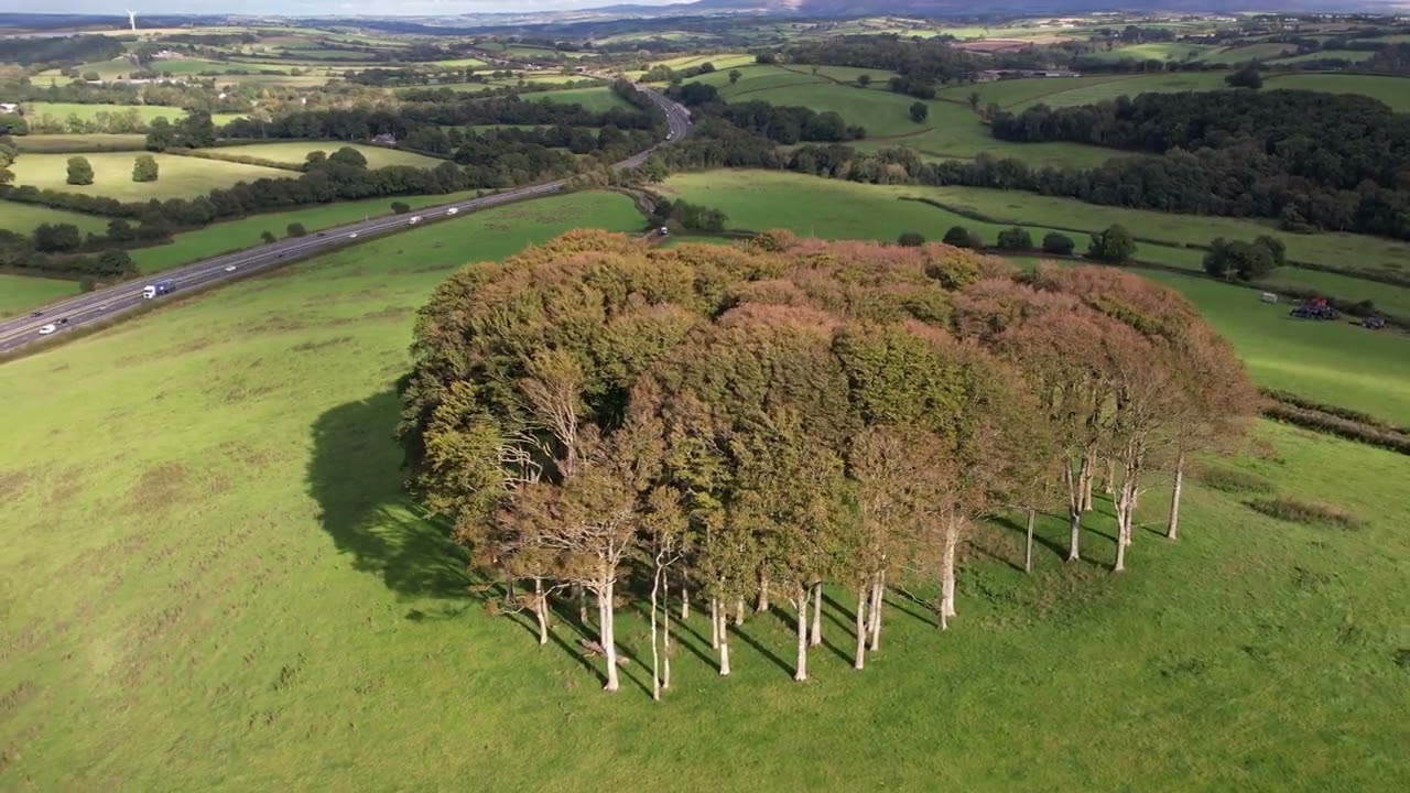 Coming Home Trees (Cookworthy Knapp), Lifton, Devon / Cornwall - YouTube