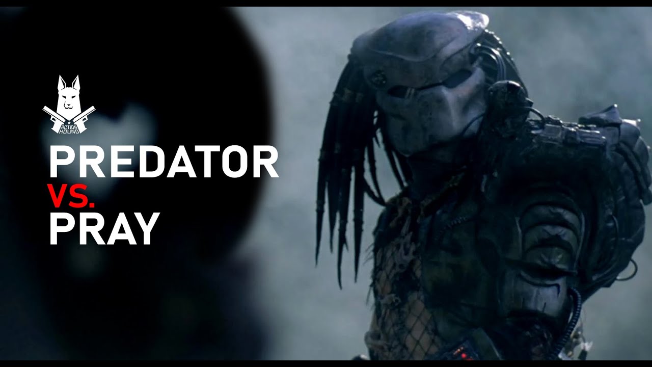 Predator Vs Prey - YouTube