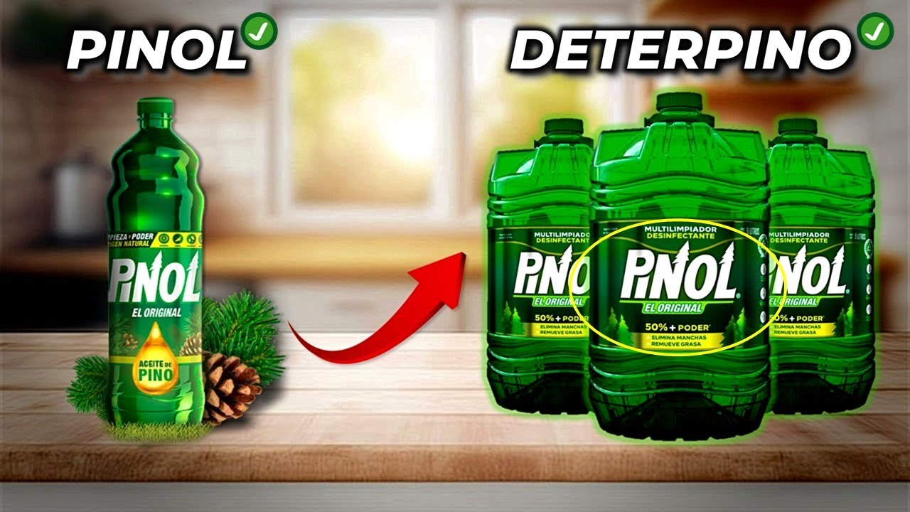 ¡MULTIPLICA tu PINOL ASÍ! Cómo Crear y Hacer Detergente Multiusos Pinol ...