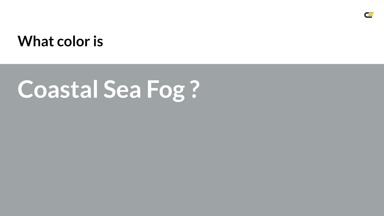 Coastal Sea Fog color #9ea4a6 hex color - Grey color - Warm color ...