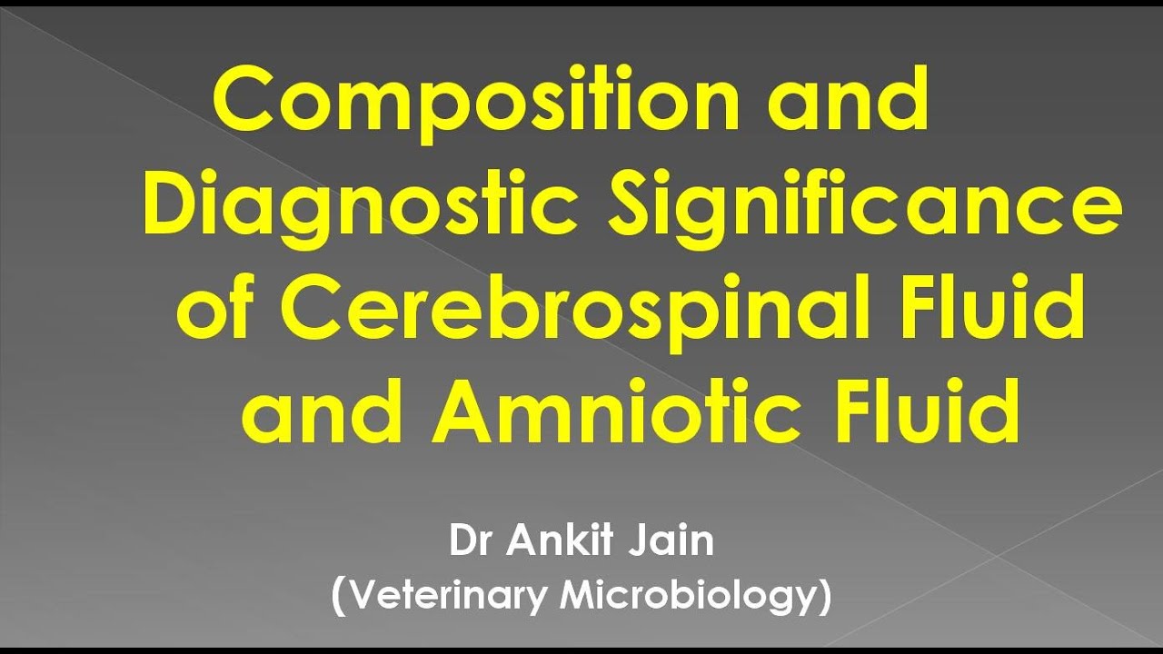 Composition and Diagnostic Significance of Cerebrospinal Fluid and ...