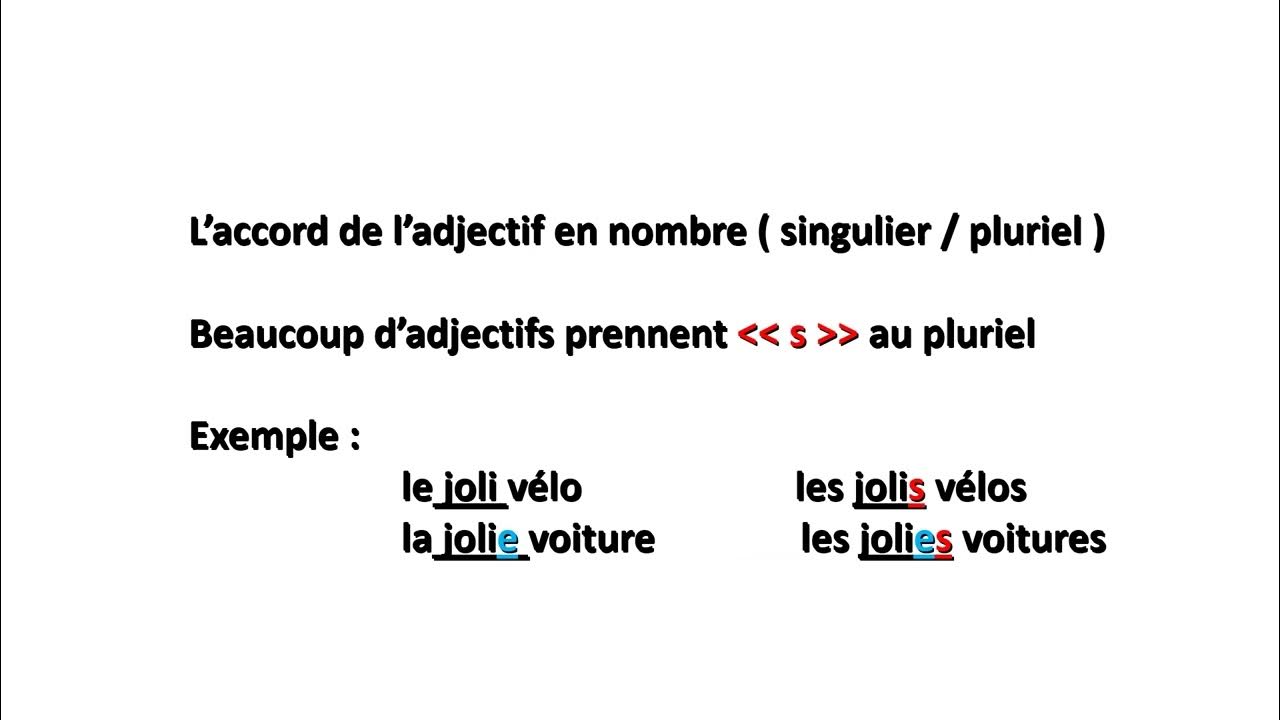 J’apprends à accorder l’adjectif avec le nom ( 6ème année ) - YouTube