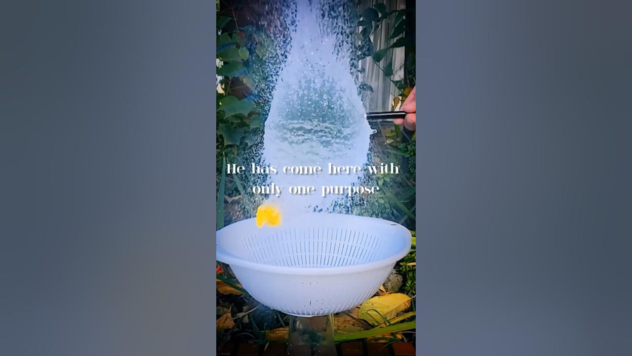 he-is-here-to-win-youtube