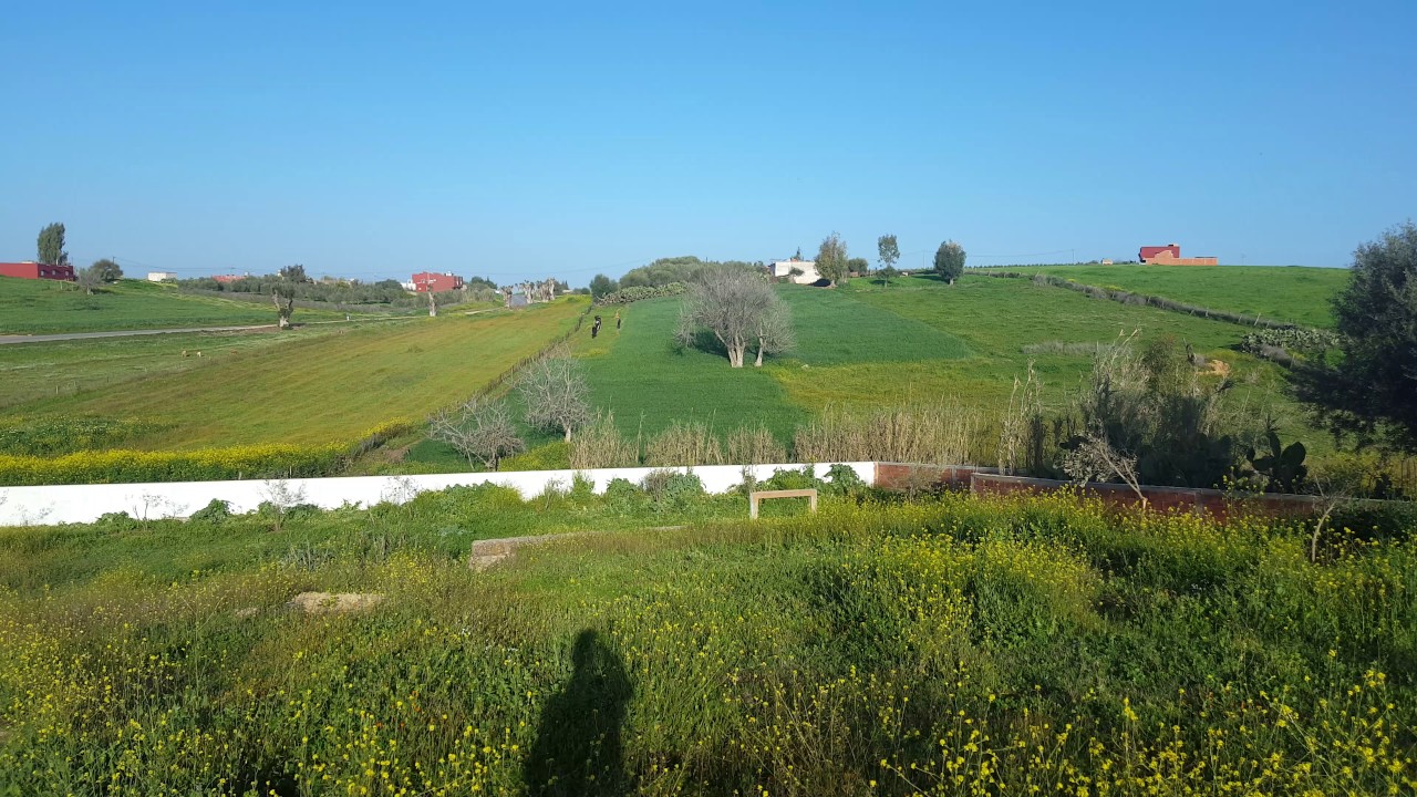 Khemisset nature 4k - YouTube