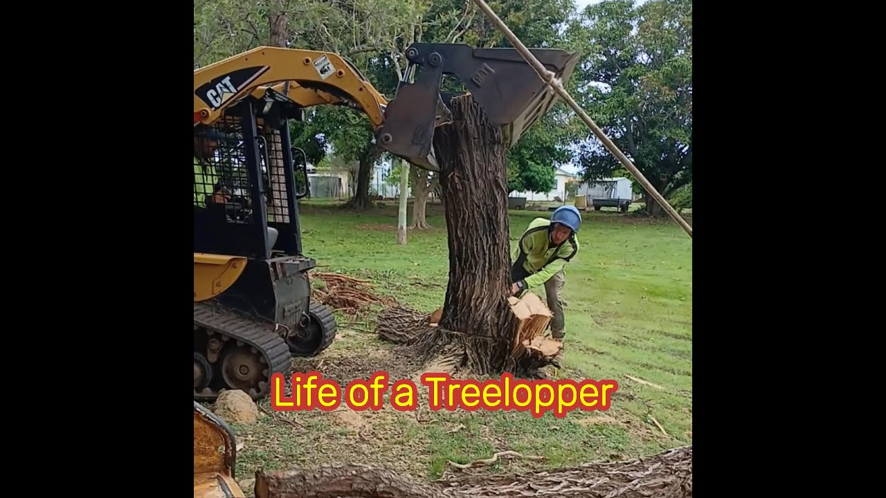 Life of a tree lopper - YouTube