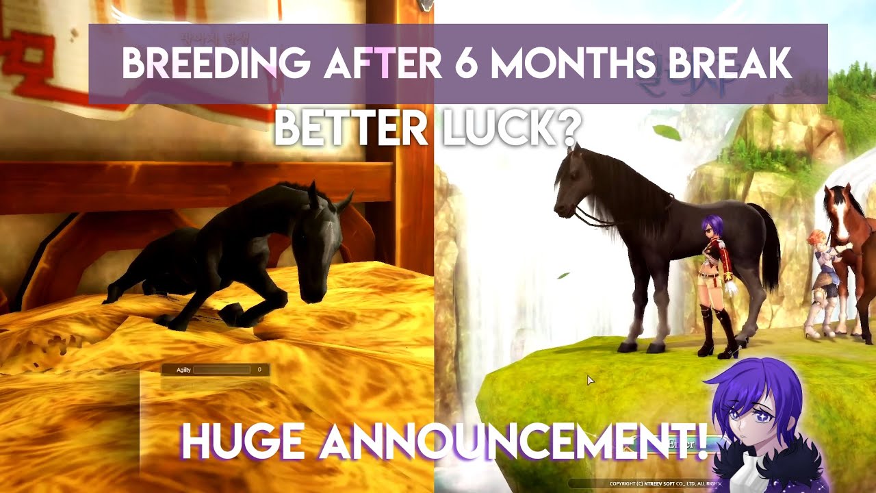 Is breeding better after 6 months? | HUGE ANNOUNCEMENT - MOVING - YouTube
