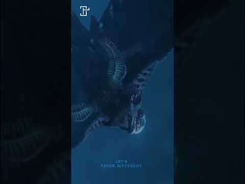 way sea is Big jiv - YouTube