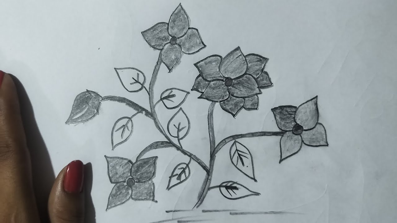 सुन्दर फूल बनाना सीखे| how to draw beautiful flower| pencil sending ...
