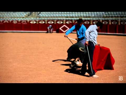 Matador training