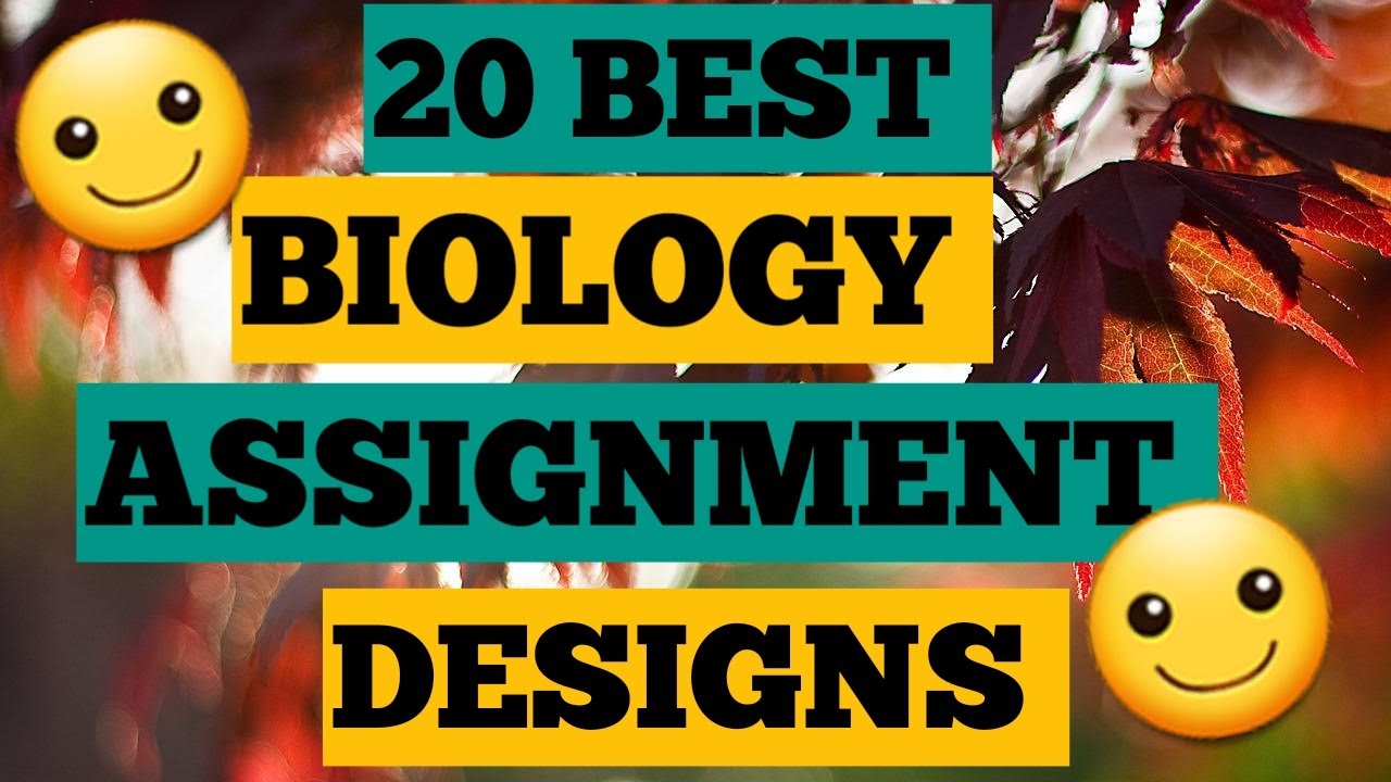 Biology Assignment Designs |Biology Border Design For Project work ...