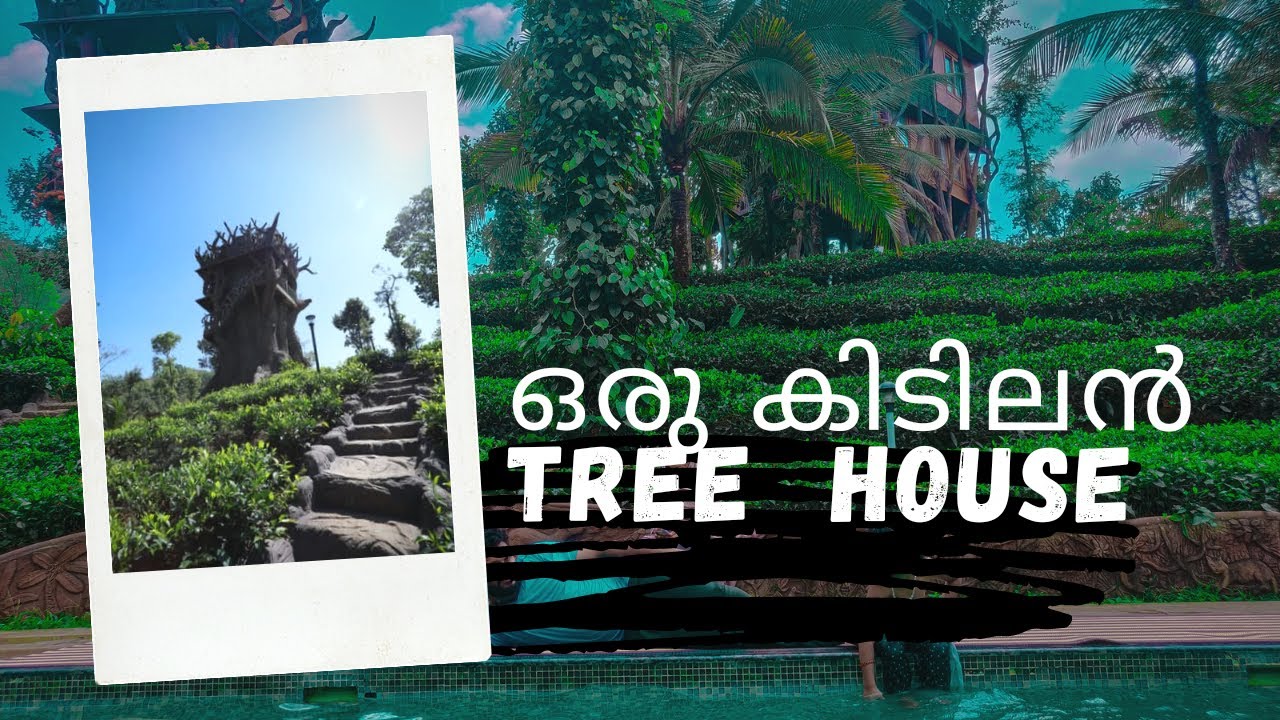 TREE HOUSE RESORT IN WAYANAD | BLUE BELL | FAMILY RESORT | LOW BUDGET ...