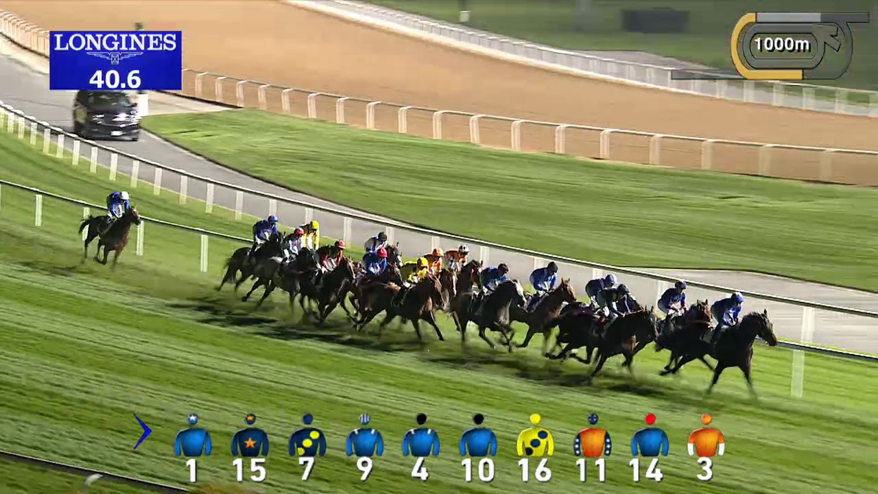 Race 6 Range Rover Velar - YouTube