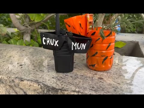 CRUX MUN| Closing Video| Apeejay School Panchscheel Park - YouTube