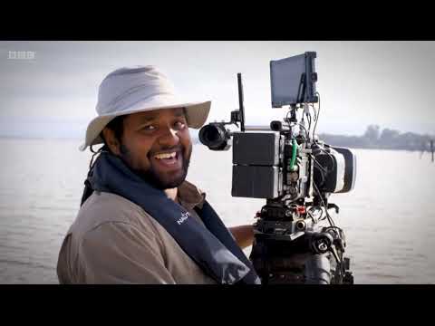 Hamza’s African Birds Of Prey Trailer