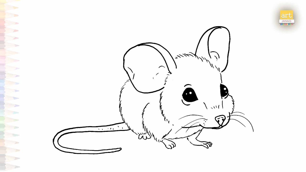 Mouse drawings easy | Outline sketches | How to draw A Mouse step by ...