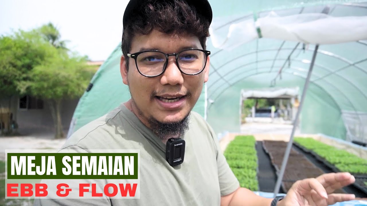 [TUTORIAL 17#] Meja semaian auto l Version 2 - YouTube