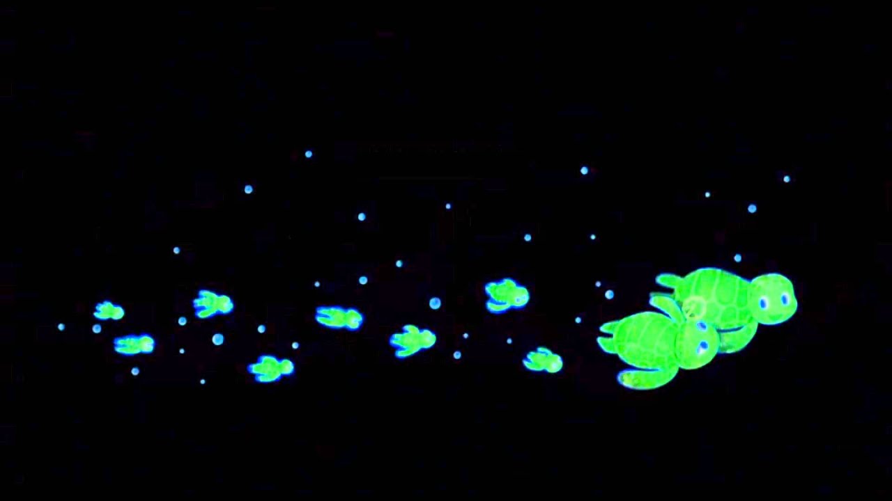 A Turtle's Tale (2010) - End Credits Music - YouTube