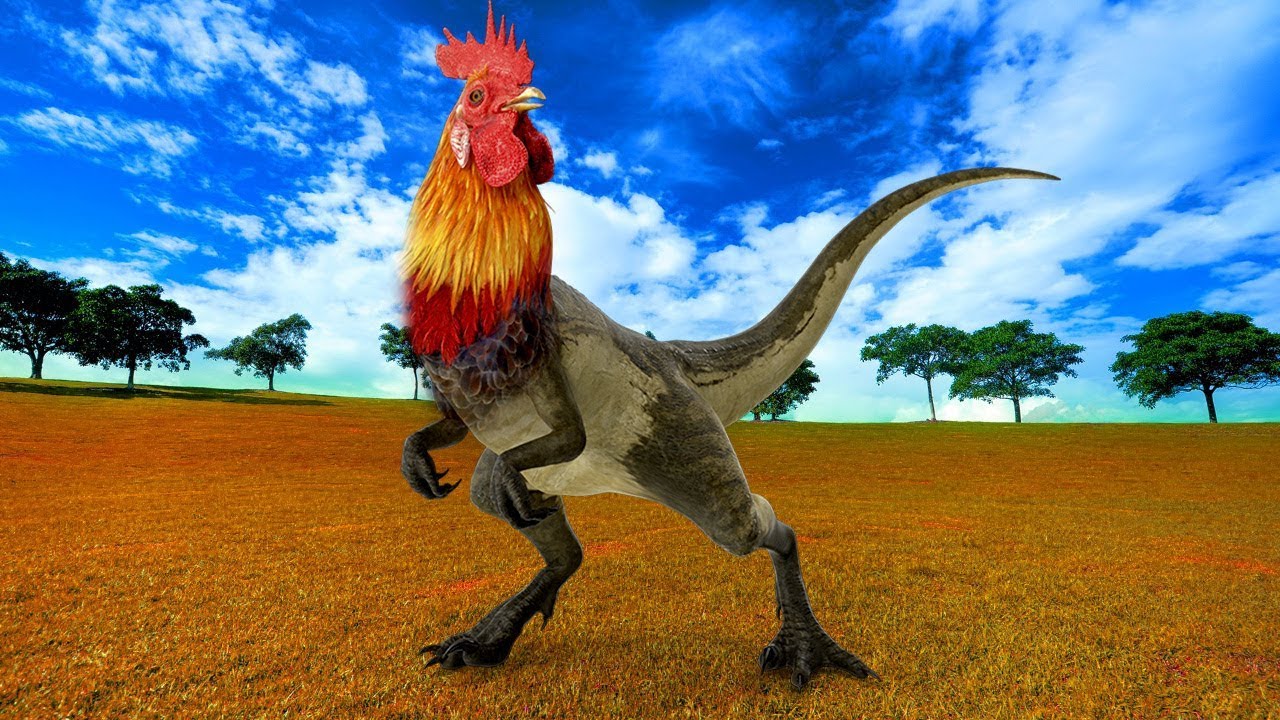 A FANTÁSTICA GALINHA SAURO | Saurian - YouTube