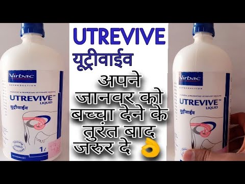 UTREVIVE Syrup 1lit गर्भाशय की सफाई में उपयोगी composition uses dosage ...