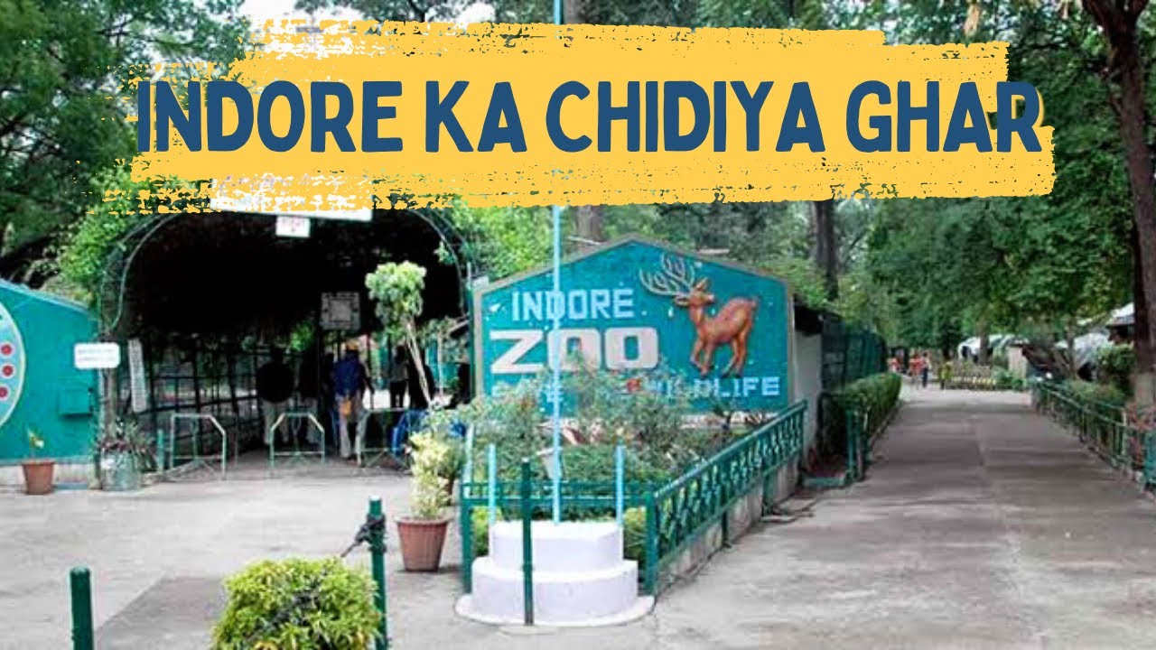 Indore Ka Chidiya Ghar ||Enjoy||Zoo|| #indore #bhopal #zoo #dailyvlog # ...
