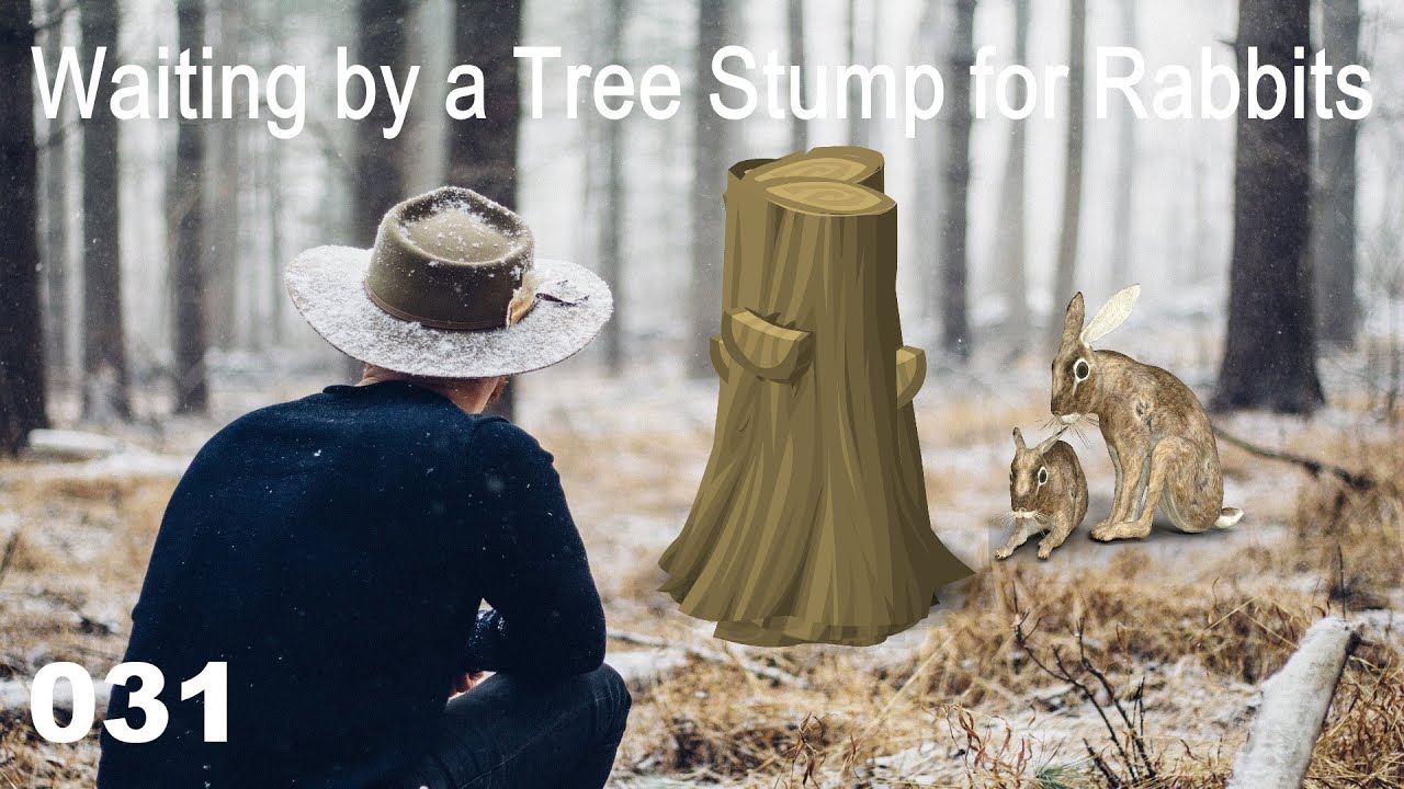 031 - Story Time. Waiting by a Tree Stump for Rabbits. - YouTube