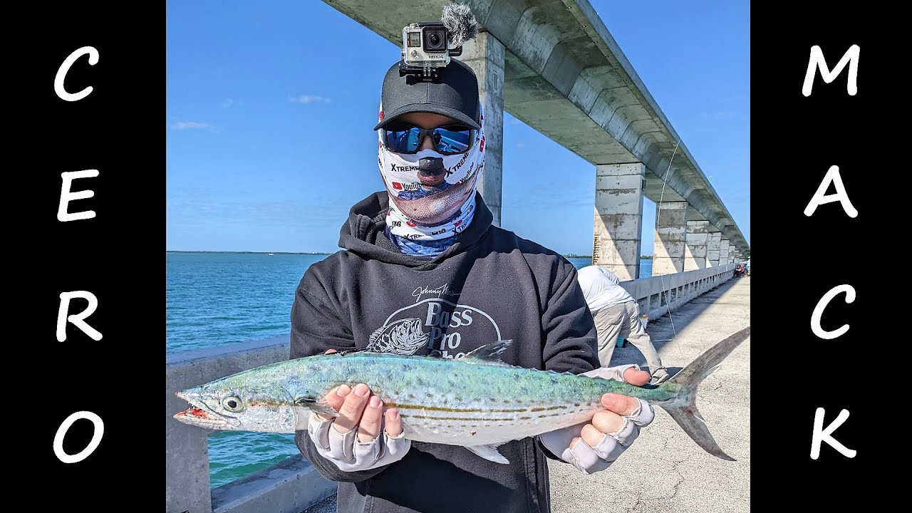 Caught My First Cero Mackerel - Florida Keys Fishing - YouTube