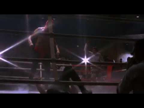 STUNTTECH in Boa vs. Python "part-1" - YouTube