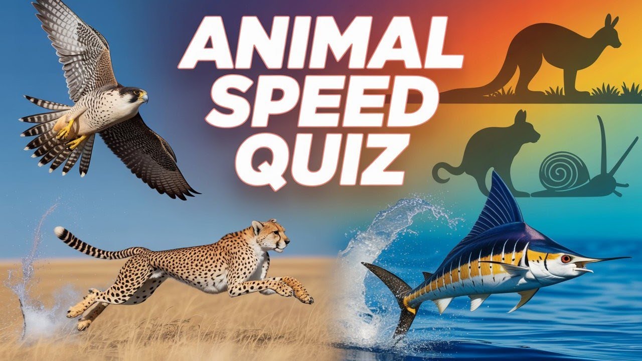 Can You Score 20/50? | Ultimate Speed Quiz - YouTube