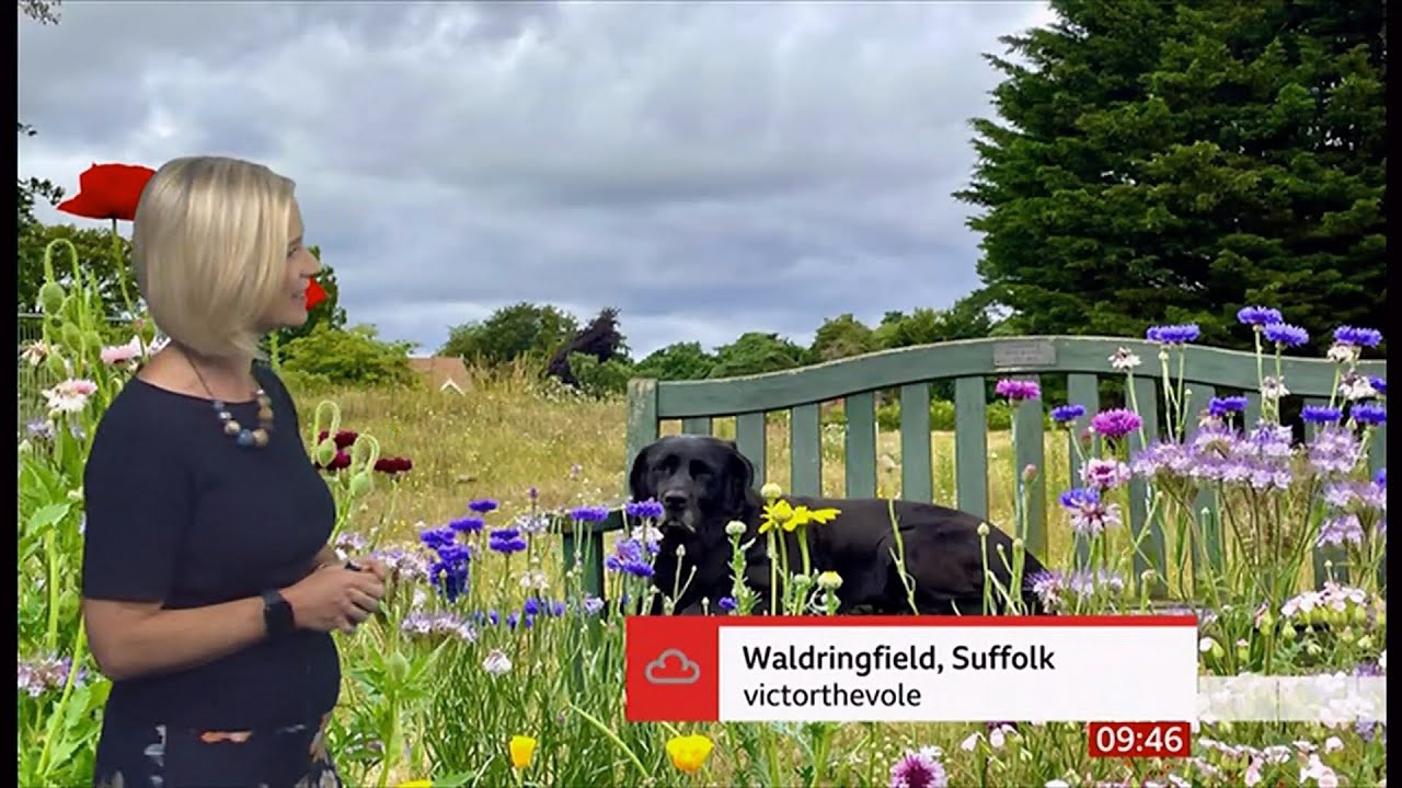 Weather images + the glitch and unsettled weekend (UK) - BBC - 1st July ...