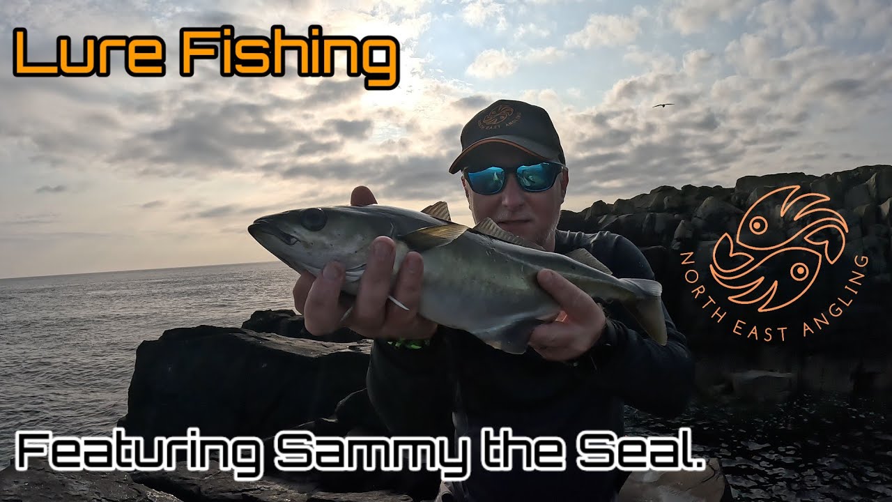 Sea Angling | Lure Fishing | Northumberland | Dunstanburgh Castle ...