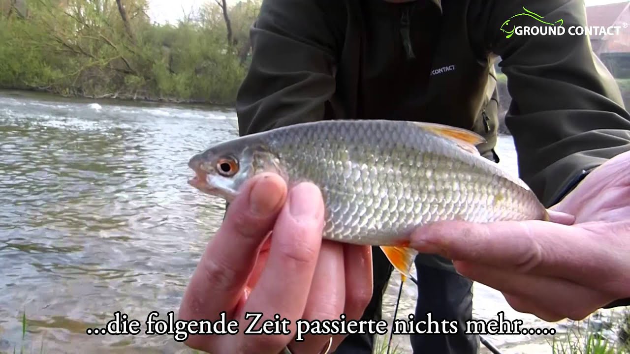 JENZI 2014 - Stipp- und Grundfischen auf Weißfisch am Fluss (full-hd ...