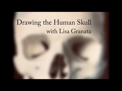 Drawing the Human Skull with Lisa Granata - YouTube