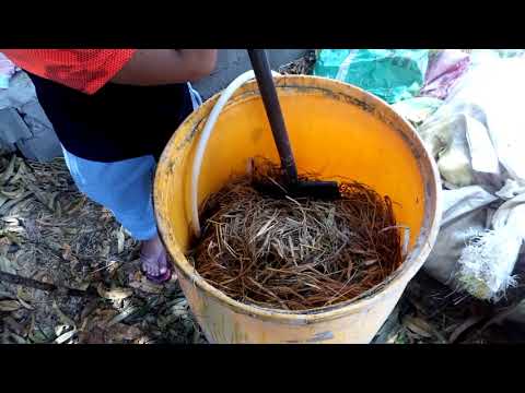 Ingredients - Soak Rice Straw Overnight - YouTube