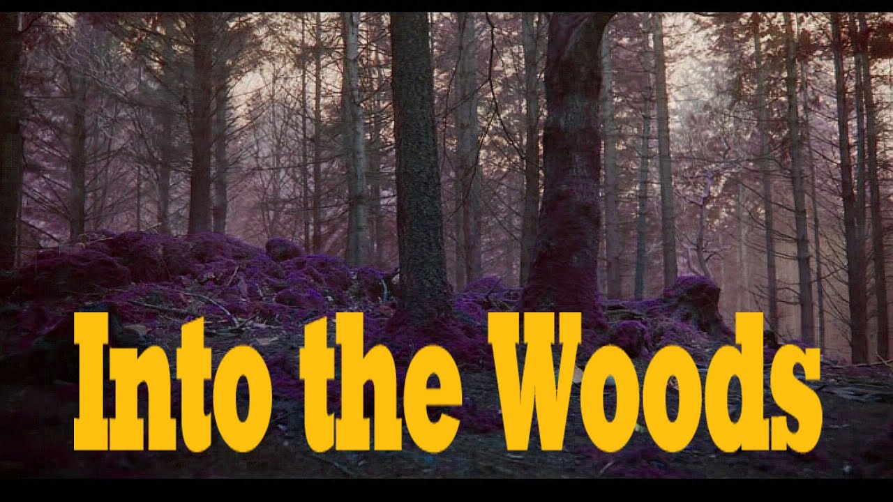 Into the Woods by FatGorgoCat. Heavy rocker made in Octamed Tracker and ...
